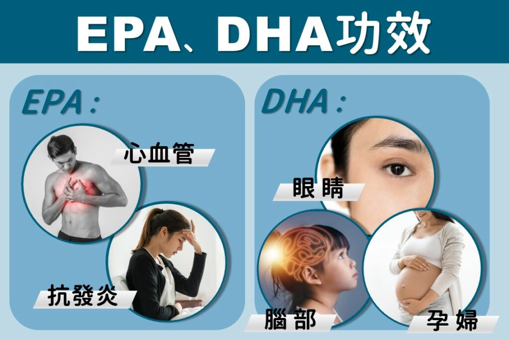 DHA、EPA差別是什麼？DHA + EPA魚油怎麼挑最有效？ - Medical News